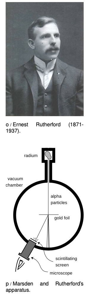 LM 26.4 The nucleus Collection