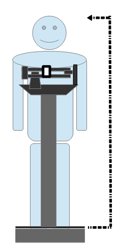 Body Surface Area Percent