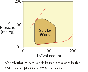 Cardiac Stroke Work