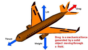 Wing Surface Area
