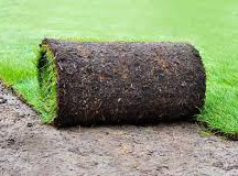 Sod Estimation Calculator